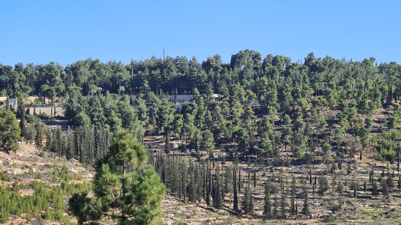 Israel Projects | Jerusalem Projects